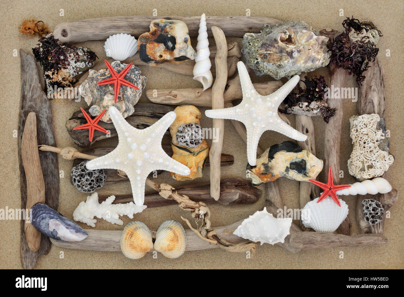 Abstract beach art with driftwood, seashells, rocks and seaweed on sand ...