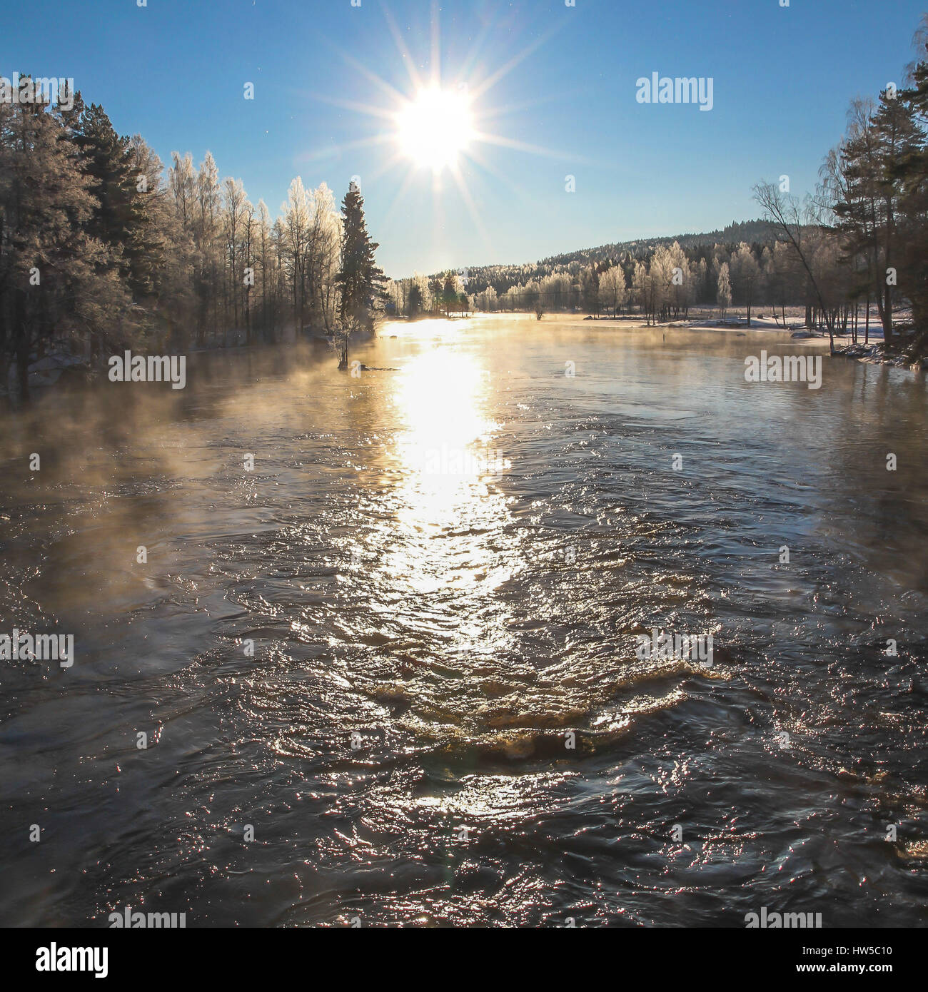 Treelined river hi-res stock photography and images - Alamy