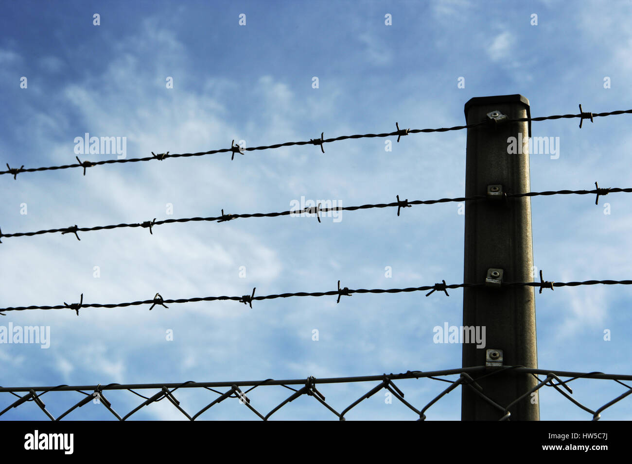Close-up of Barbed wire fence Stock Photo - Alamy