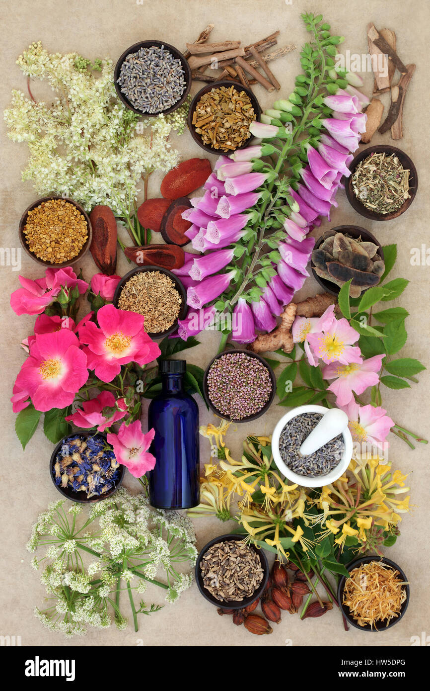 Natural herb and flower collection used in alternative herbal medicine ...