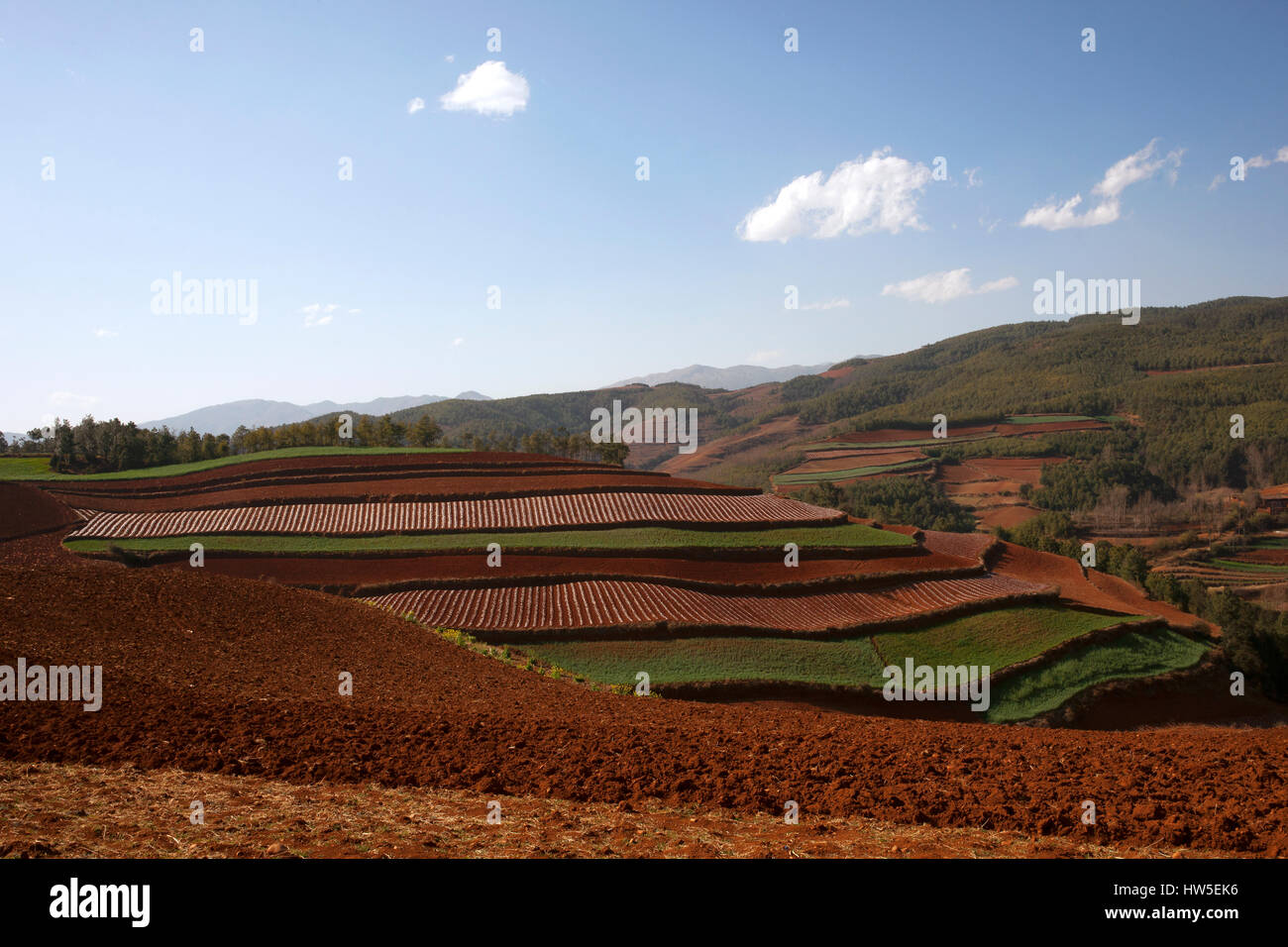 Panoramic view of chinese agriculture landscape with mountains and ...