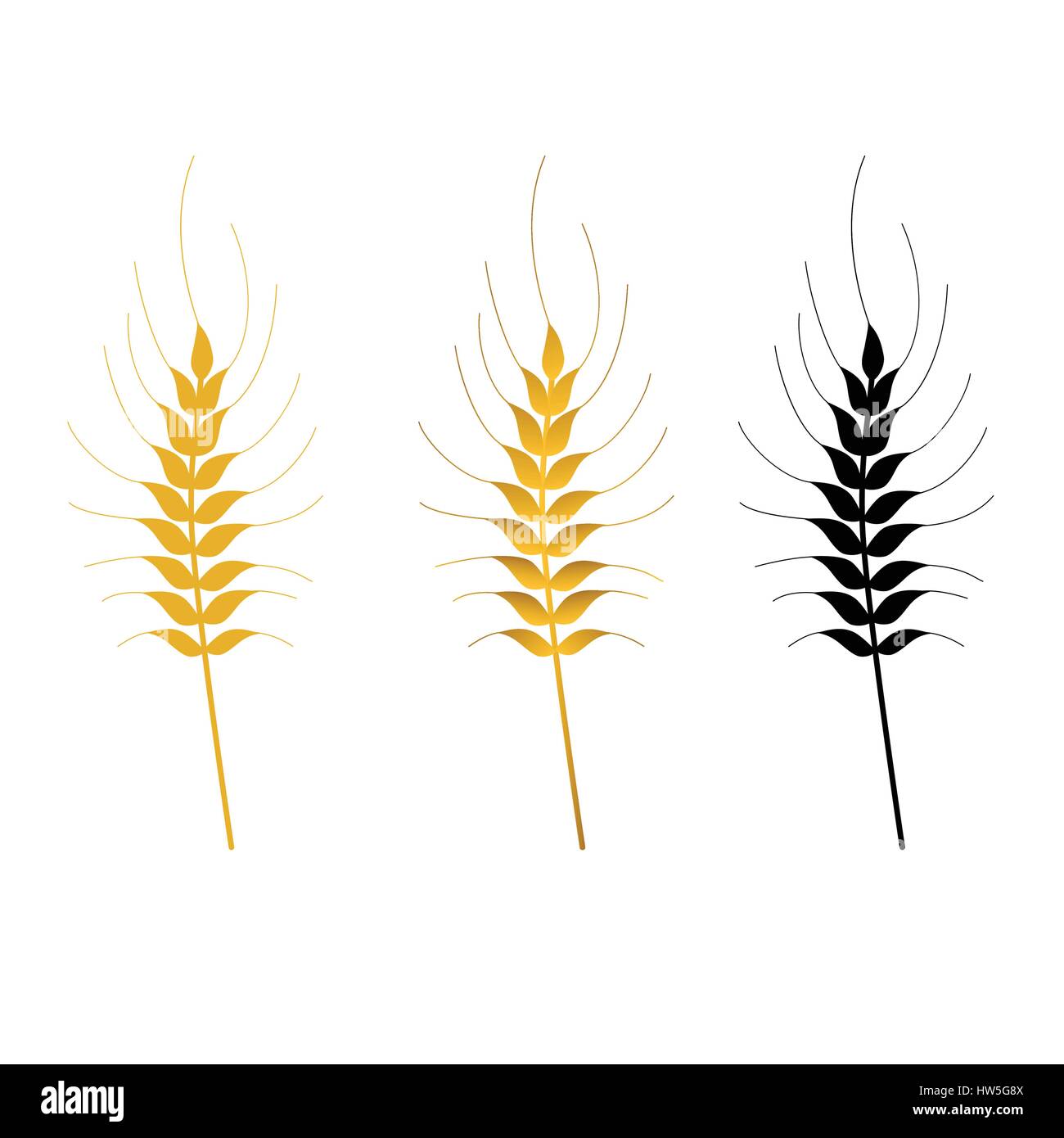 wheat vector isolated set Stock Vector Image & Art - Alamy