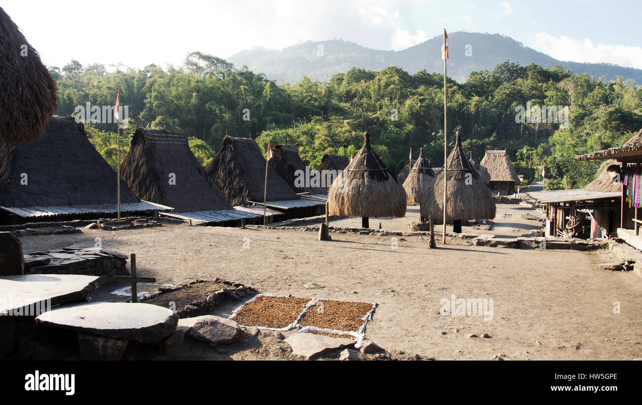 Bena a traditional village with grass huts of the Ngada people in ...