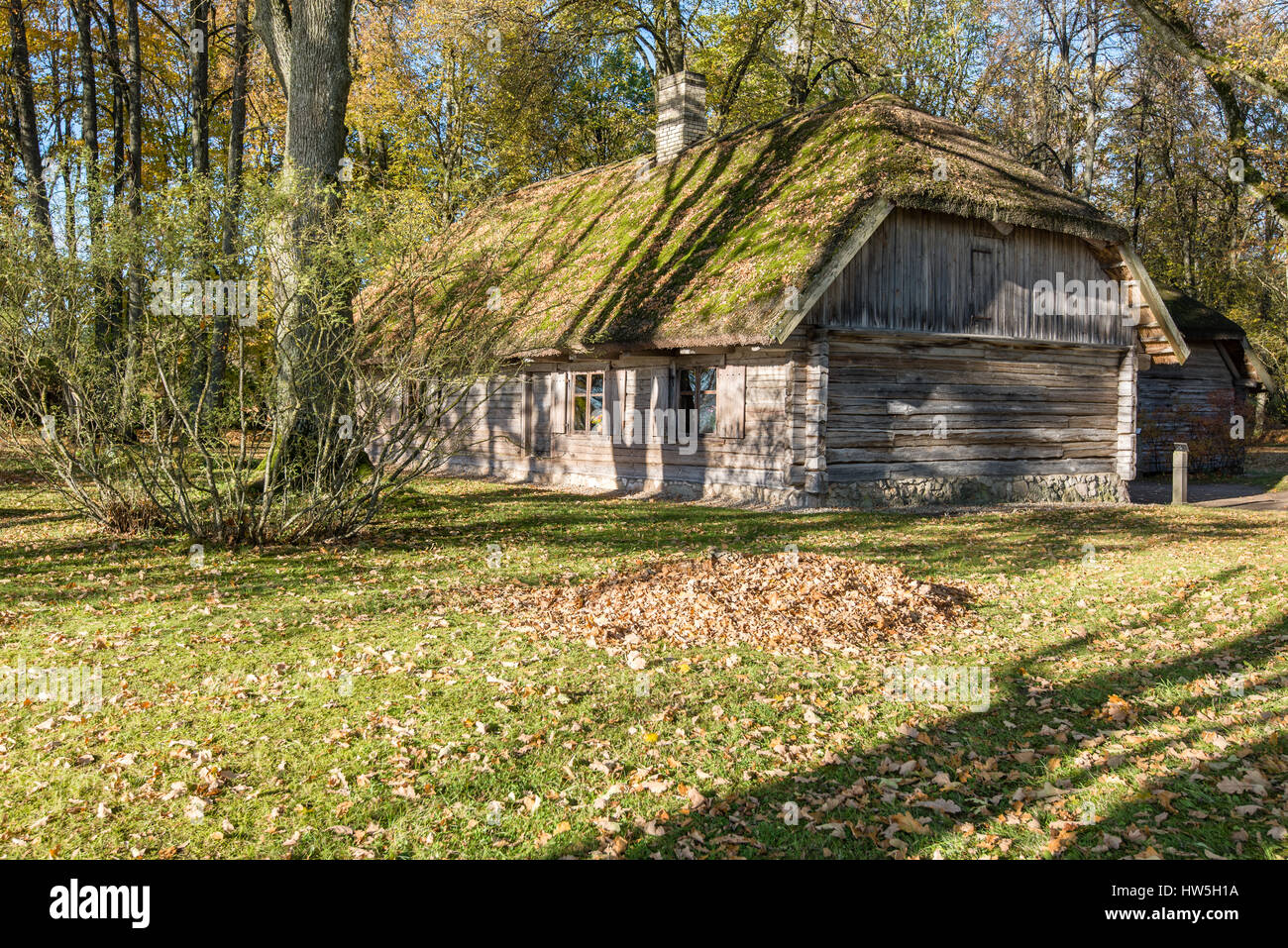 country house with oak trees in yellow autumn Stock Photo - Alamy