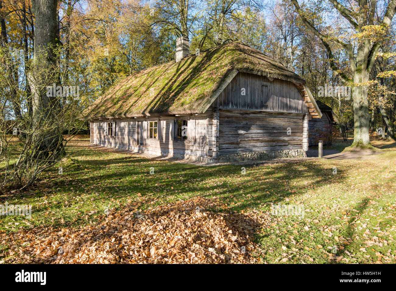 country house with oak trees in yellow autumn Stock Photo - Alamy