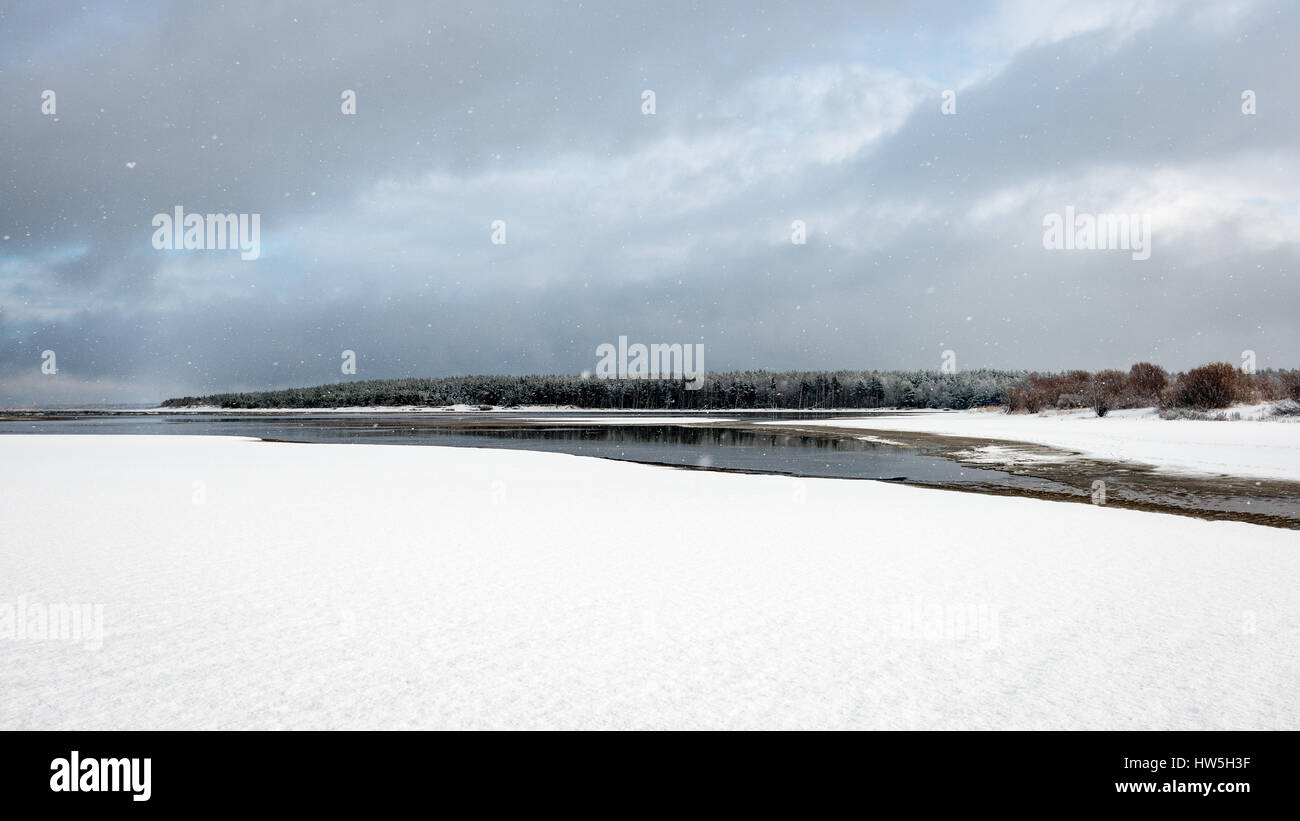 snowfall near sea in winter with white waves crushing and seagulls ...