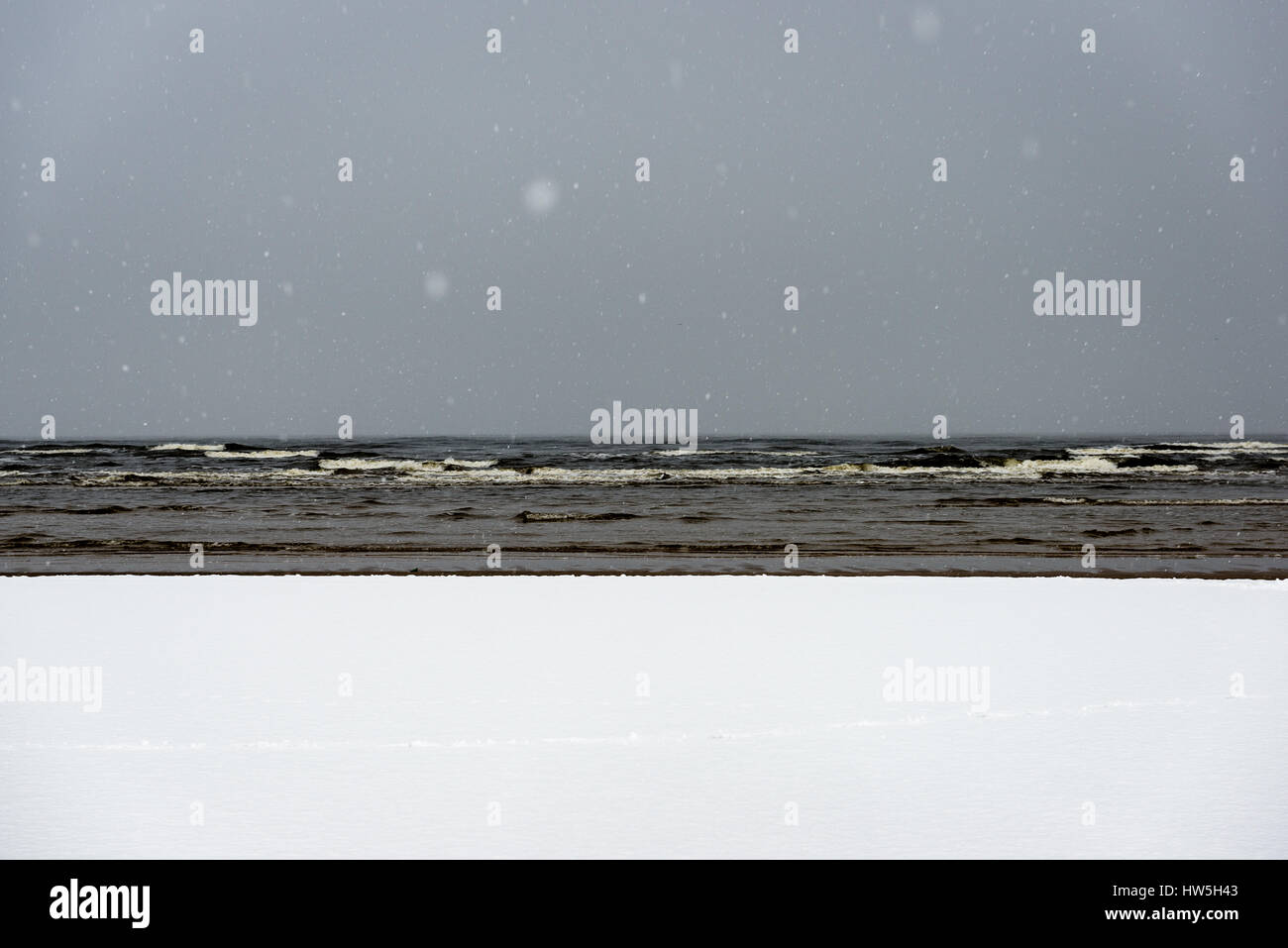 snowfall near sea in winter with white waves crushing and seagulls ...