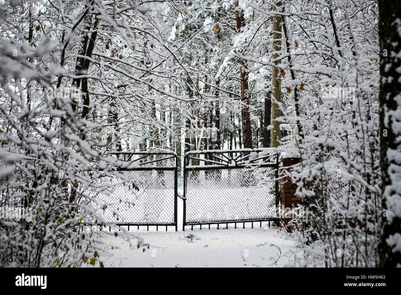 metal fence in winter covered with snow Stock Photo - Alamy