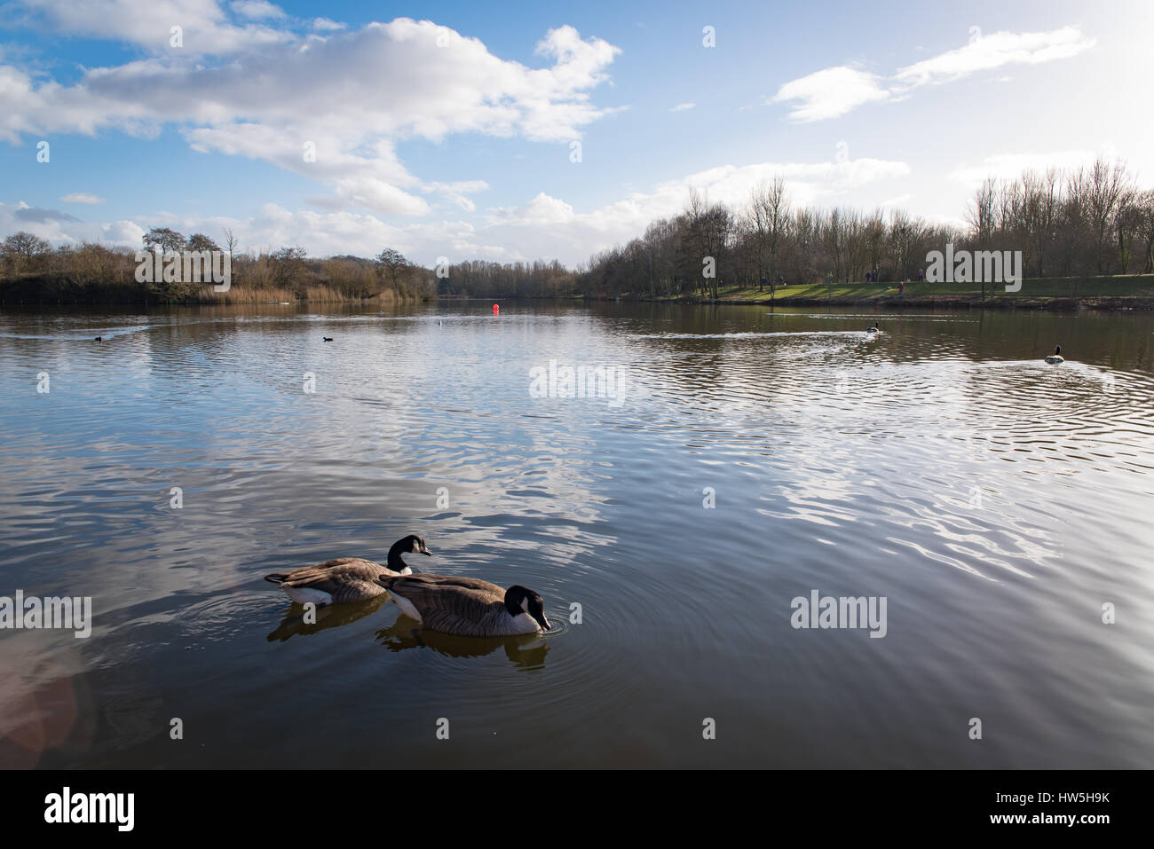 Arrow valley lake in redditch hi-res stock photography and images - Alamy