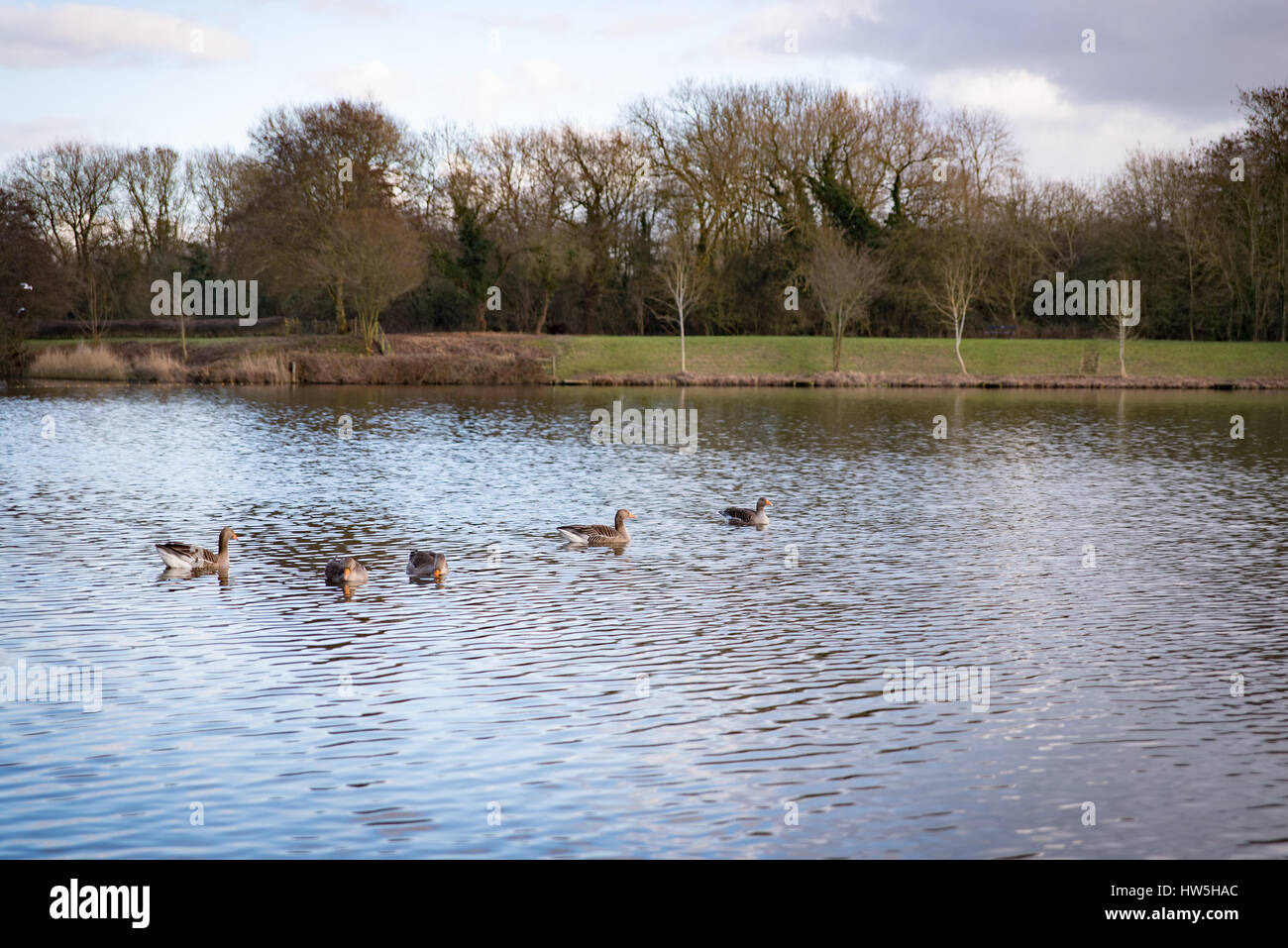 Arrow valley lake country park hi-res stock photography and images - Alamy