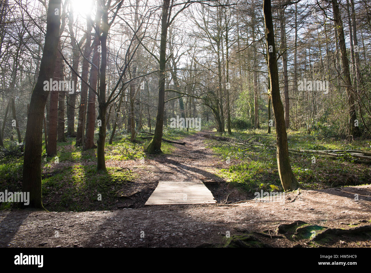 Scenic bridge in forest crossing brook at Lickey Hills park Stock Photo ...