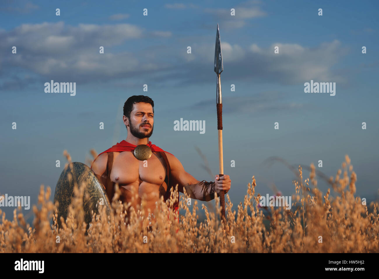 Athletic soldier holding rounded shield and weapon Stock Photo - Alamy