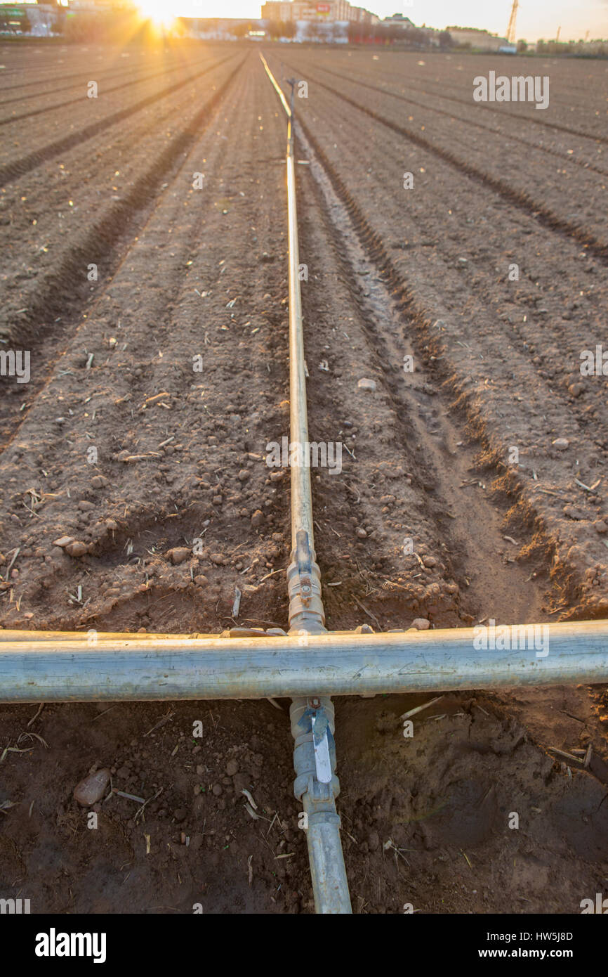 Irrigation technology hi-res stock photography and images - Alamy