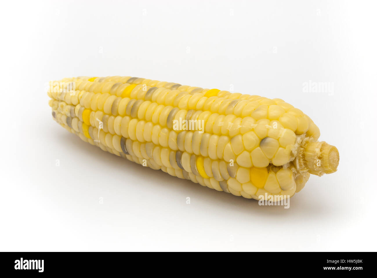 Thai Steamed Sweet Sticky Corn on White Background/ Isolated Stock ...