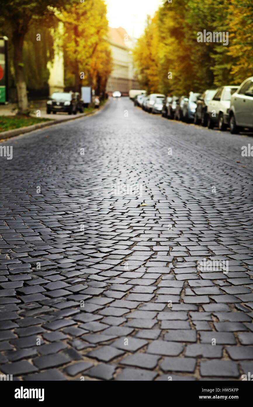 empty cobblestone road in European city Stock Photo - Alamy