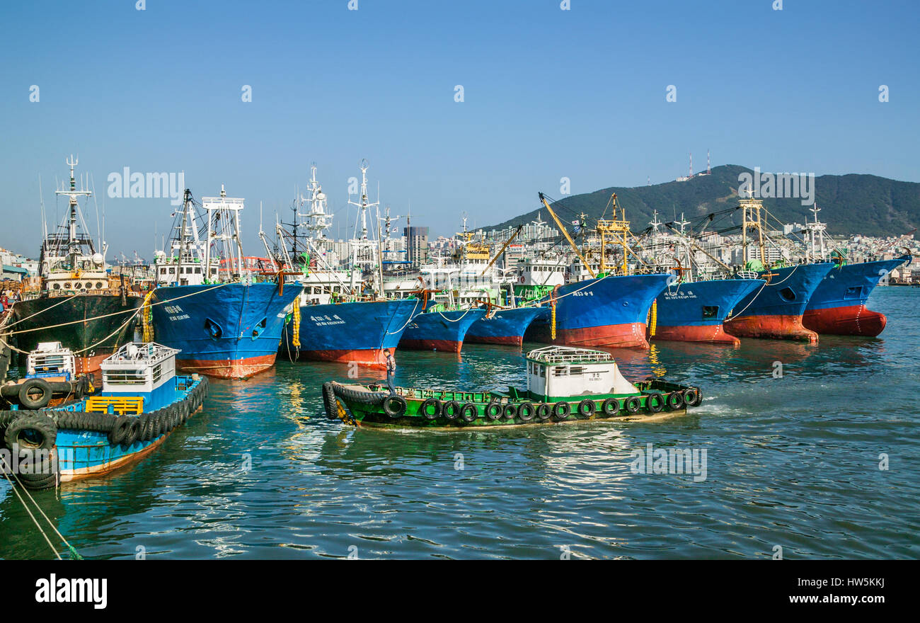 South Korea, Busan, fishing fleet at the Yagalchi Fish Market wharfside ...