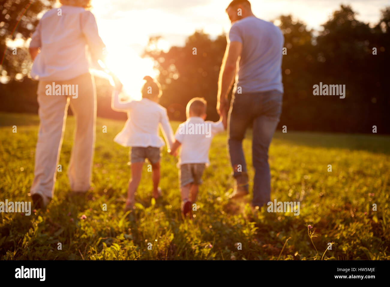 Blurred background of family in nature, back view Stock Photo - Alamy