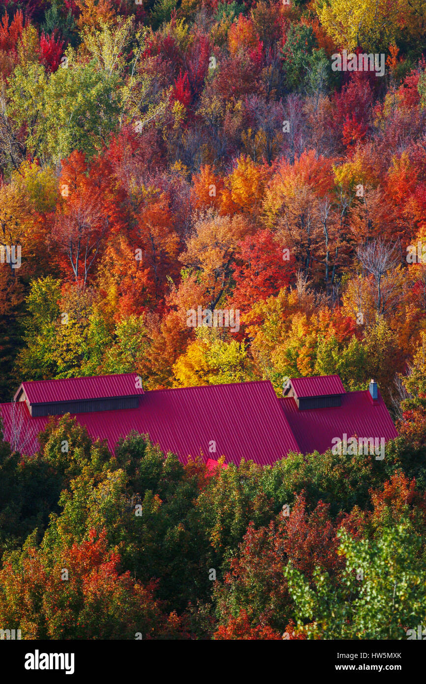 colorful canadian forest with red roof farm Stock Photo - Alamy