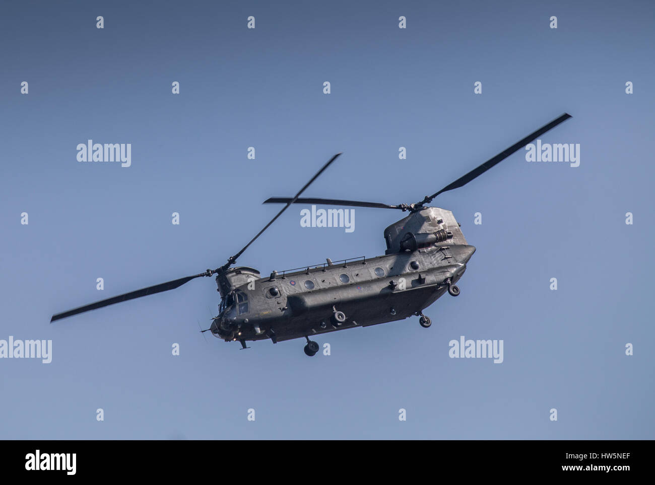 Chinook in flight Stock Photo - Alamy