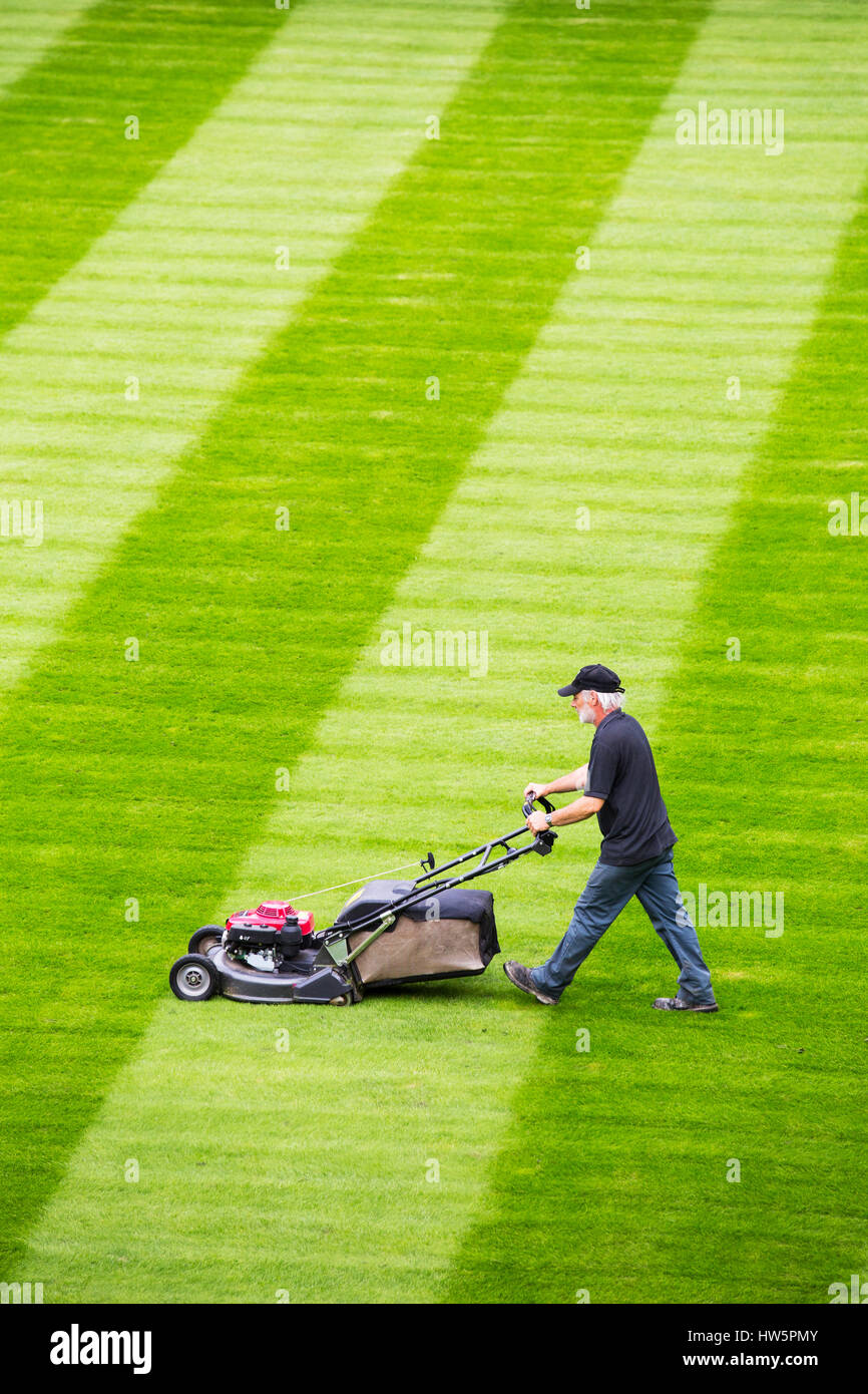 Cutting the lawn in the quadrangle of Keble College in Oxford ...
