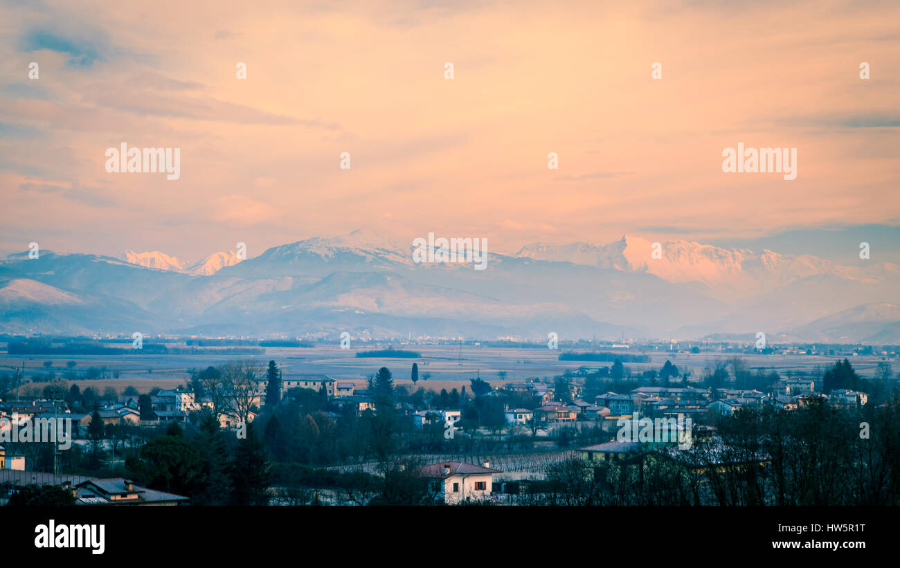 snow and ice in the vineyard of Friuli, Italy Stock Photo - Alamy
