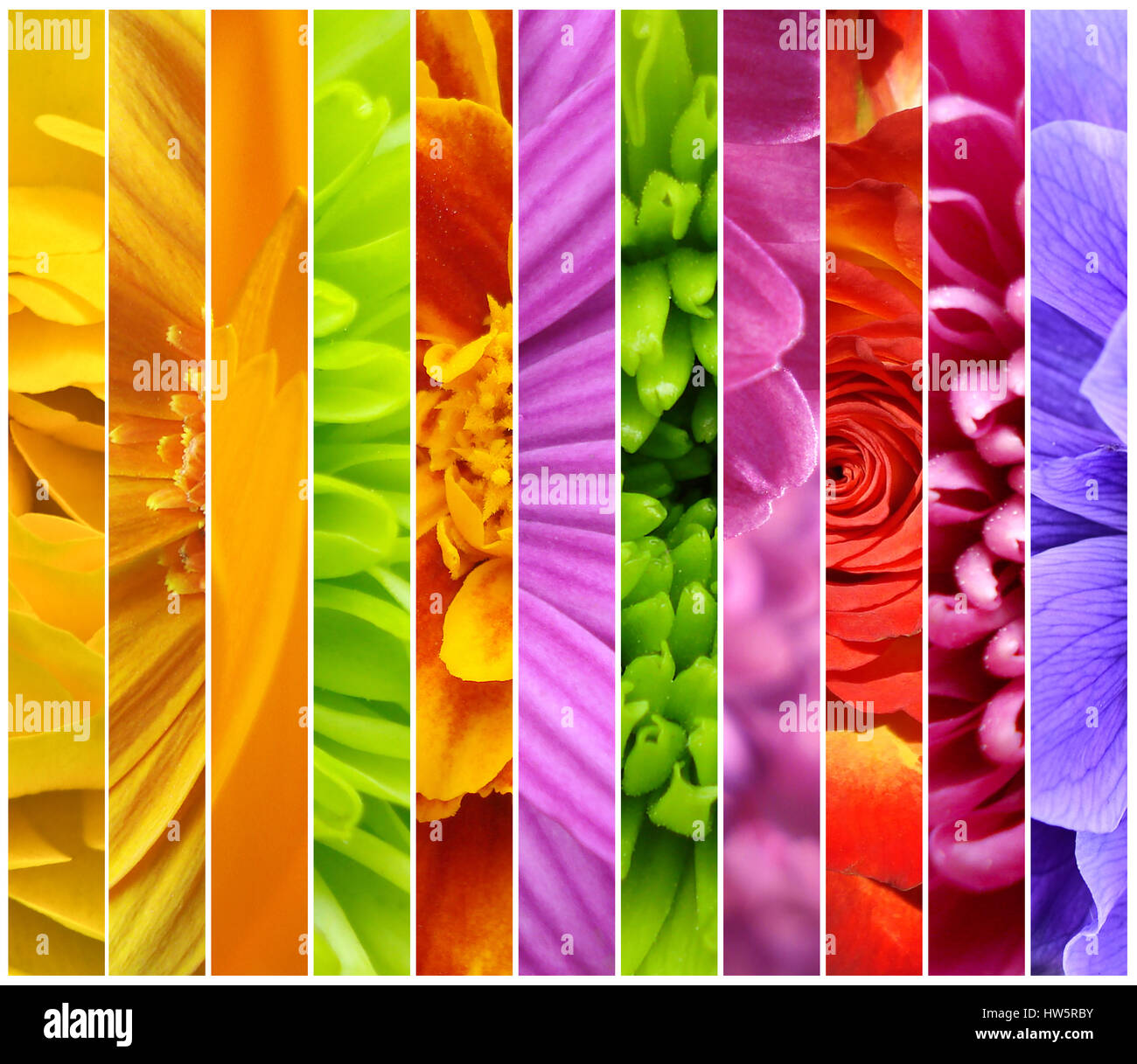 Flower collage hi-res stock photography and images - Alamy