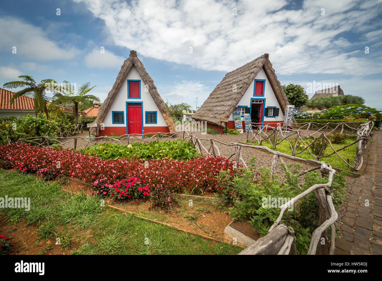 Santana traditional madeira houses with thatched roofs. Old fashioned ...