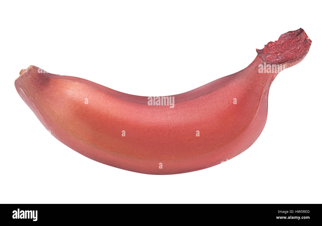 Red banana isolated on white background with clipping path Stock Photo ...