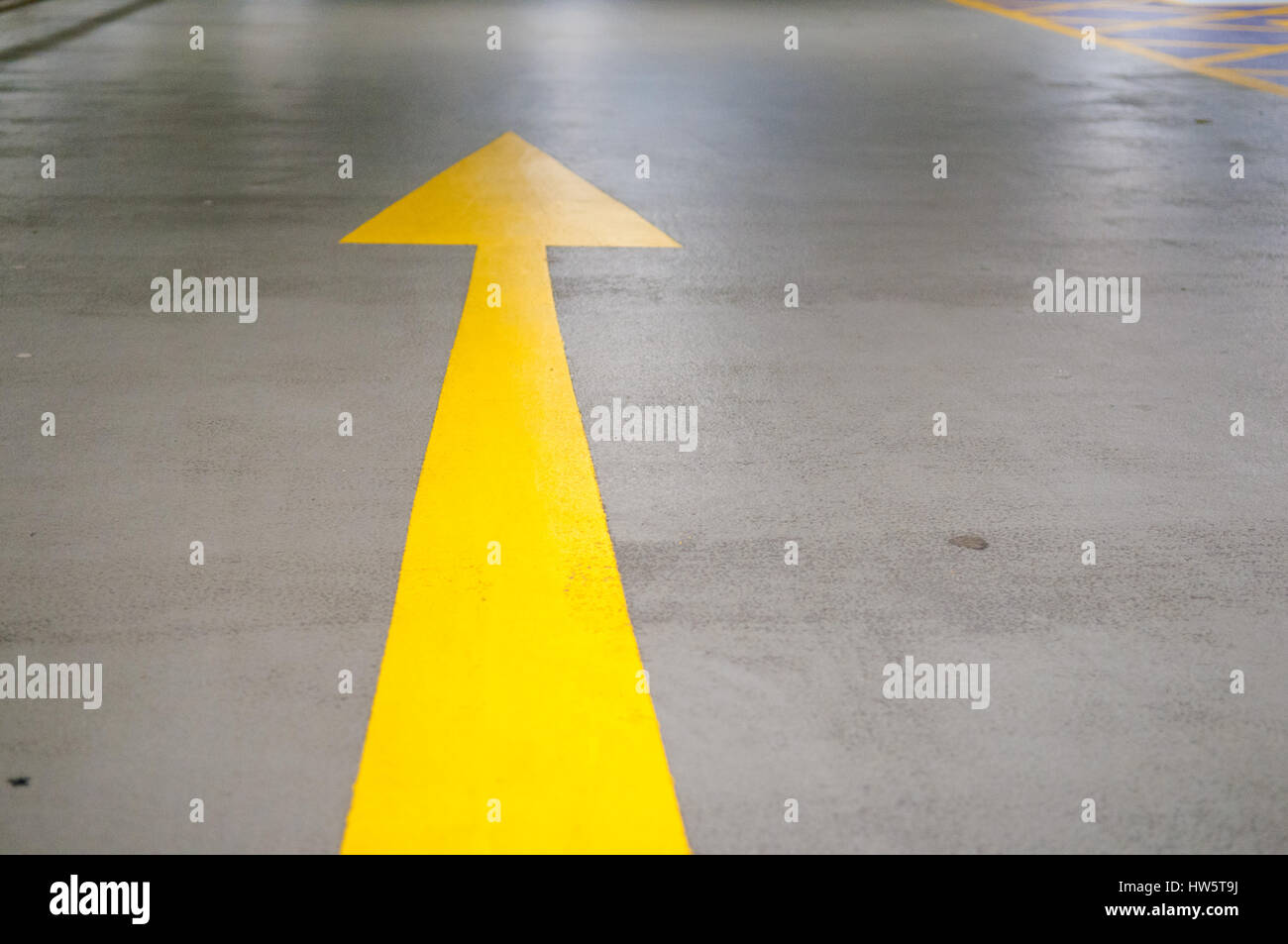 Yellow road traffic marking on the street Stock Photo - Alamy