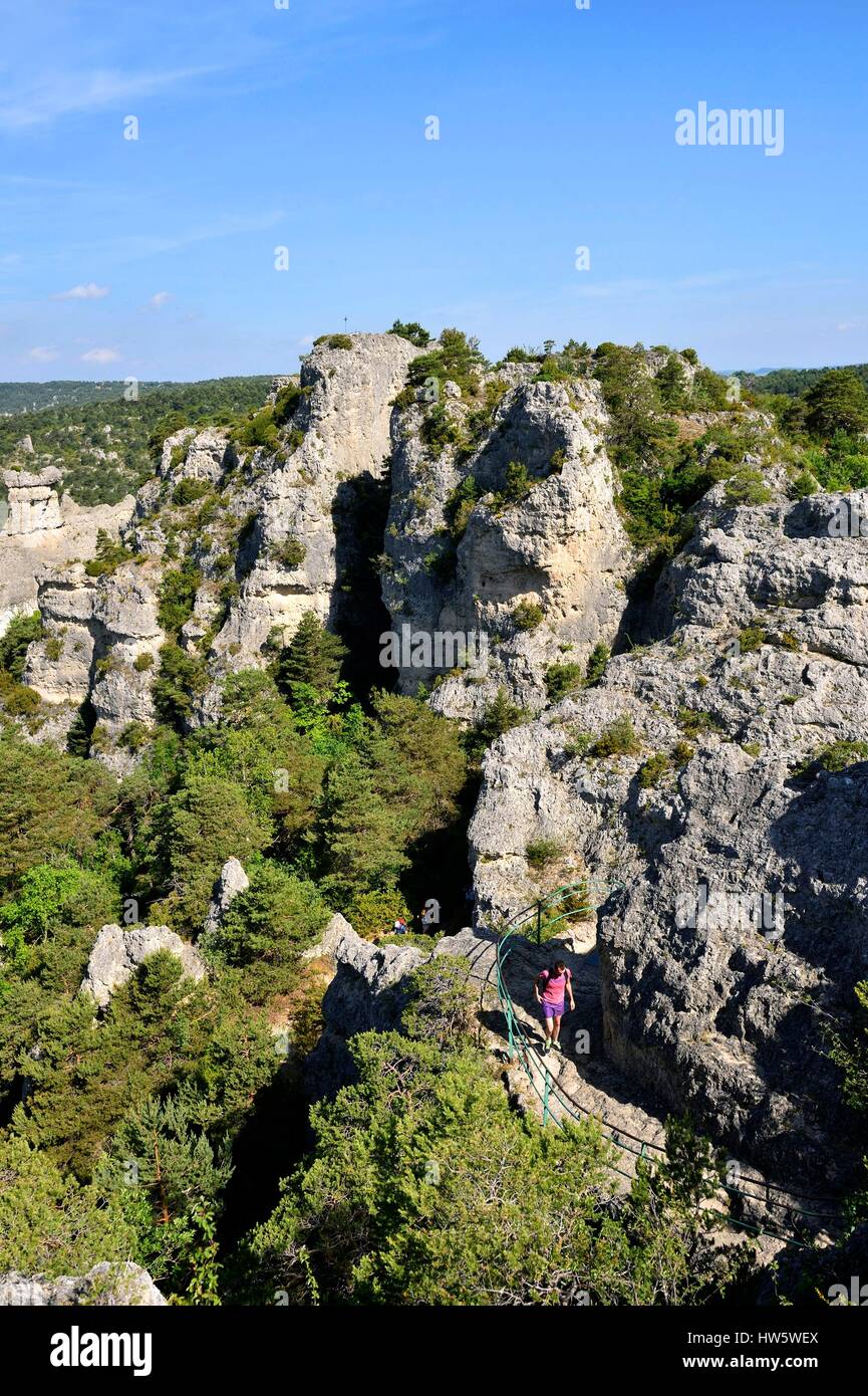 France, Aveyron, the Causses and the Cevennes, Mediterranean agro ...