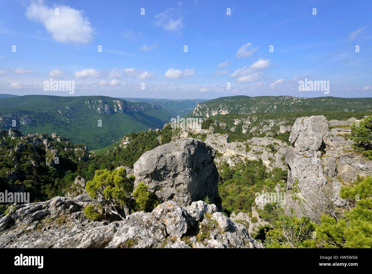 France, Aveyron, the Causses and the Cevennes, Mediterranean agro ...
