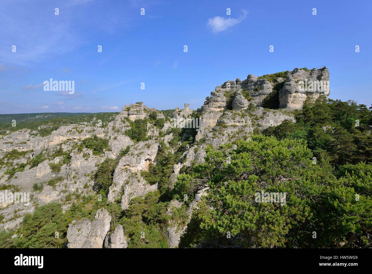France, Aveyron, the Causses and the Cevennes, Mediterranean agro ...
