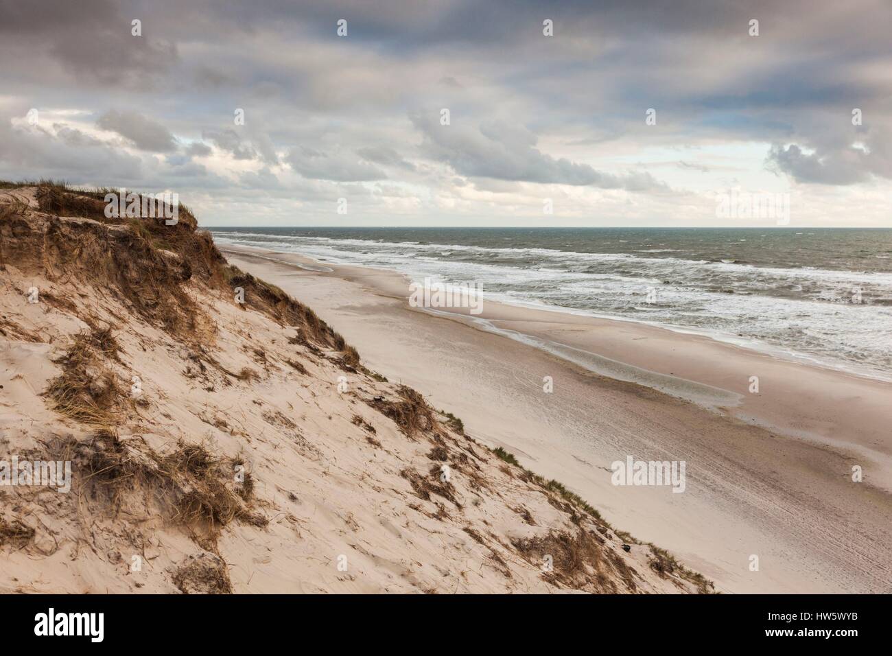Denmark, Jutland, Danish Riviera, Hvide Sande, coastal dunes, dusk ...