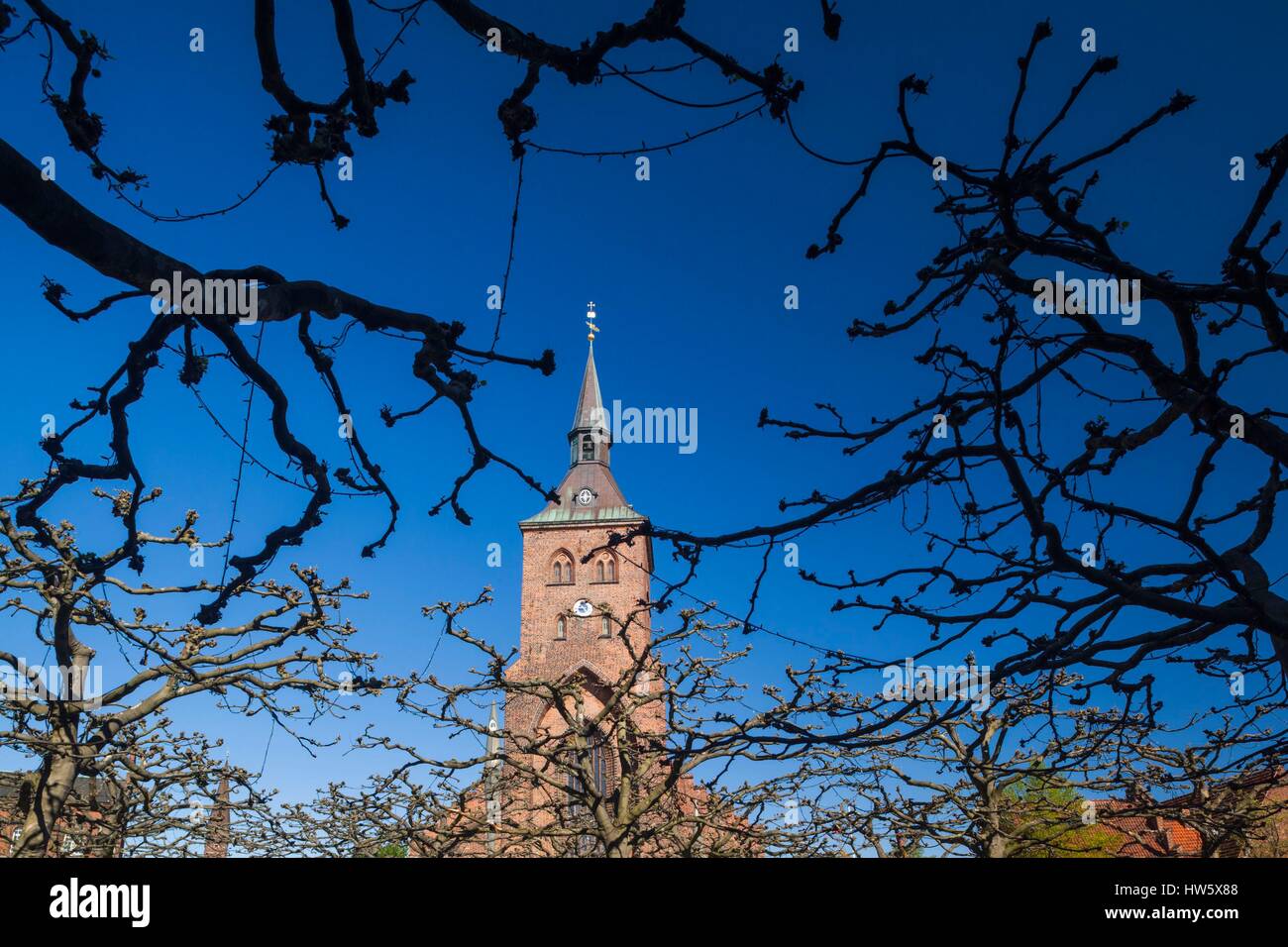 Odense domkirke cathedral hi-res stock photography and images - Alamy