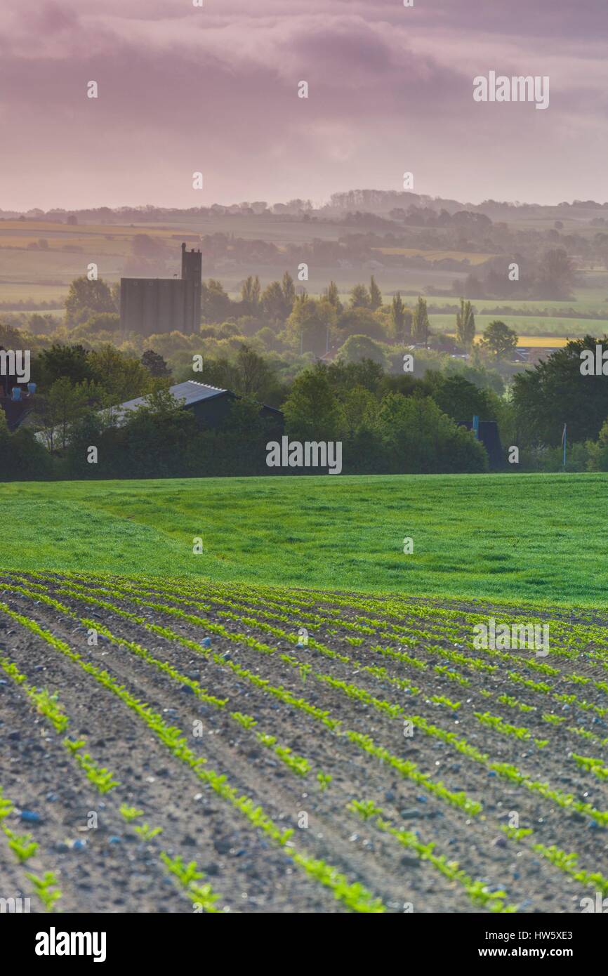 Denmark, Mon, Borre, elevated village view Stock Photo - Alamy