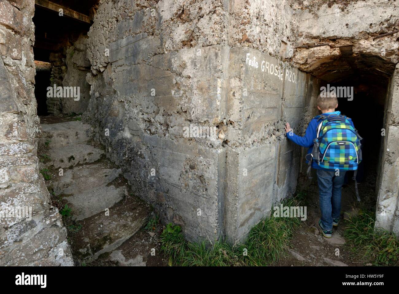 France, Haut Rhin, Hautes Vosges, Hartmannswillerkopf or Vieil Armand ...