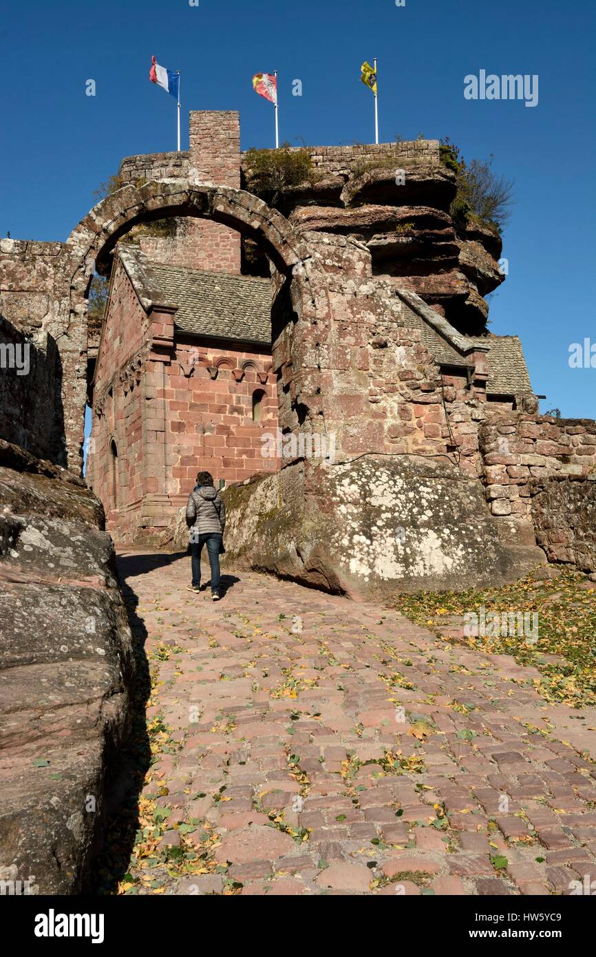 France, Bas Rhin, Saverne, Haut Barr castle dated 11-14th century ...