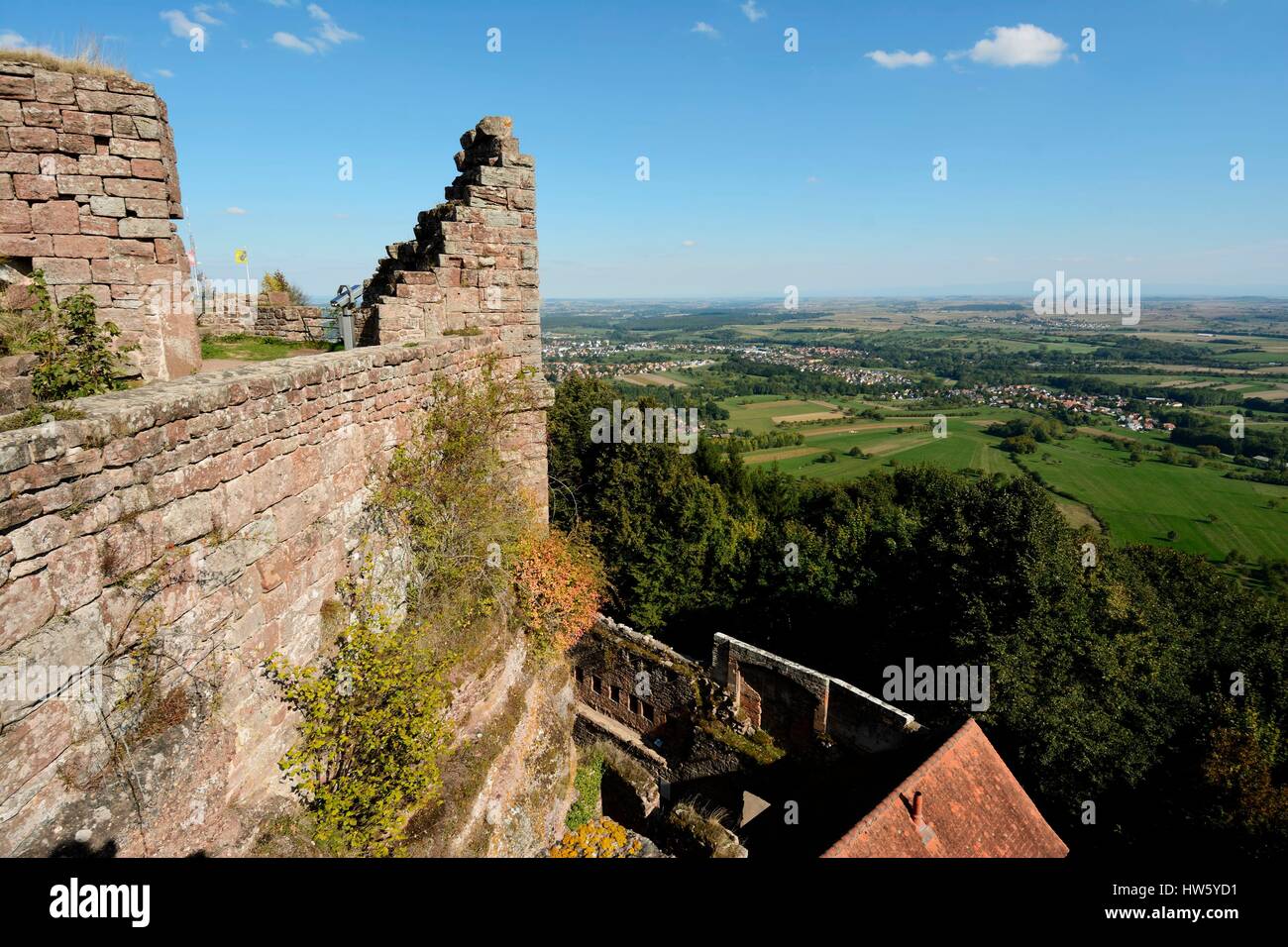11 14th century hi-res stock photography and images - Alamy