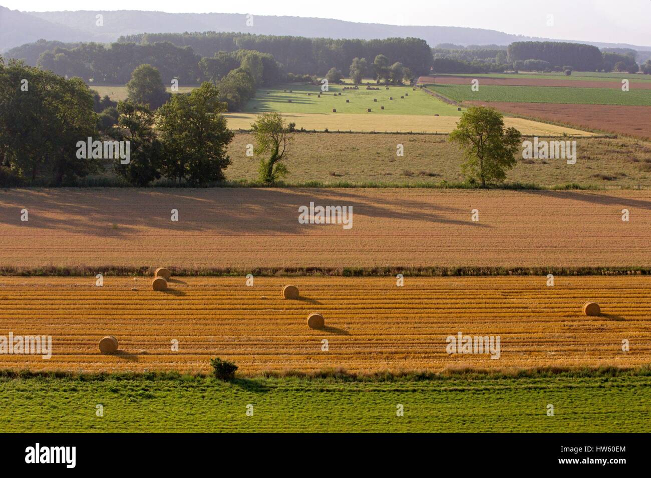Brotonne bridge hi-res stock photography and images - Alamy
