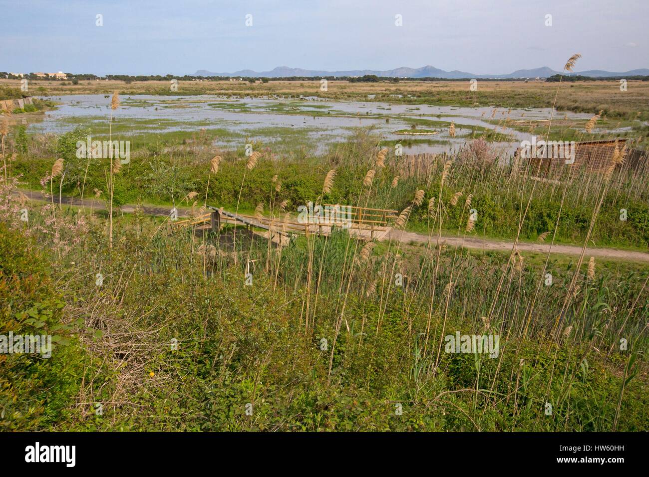 Spain, Balearic Islands, Mallorca, Albufera Natural Park Stock Photo ...