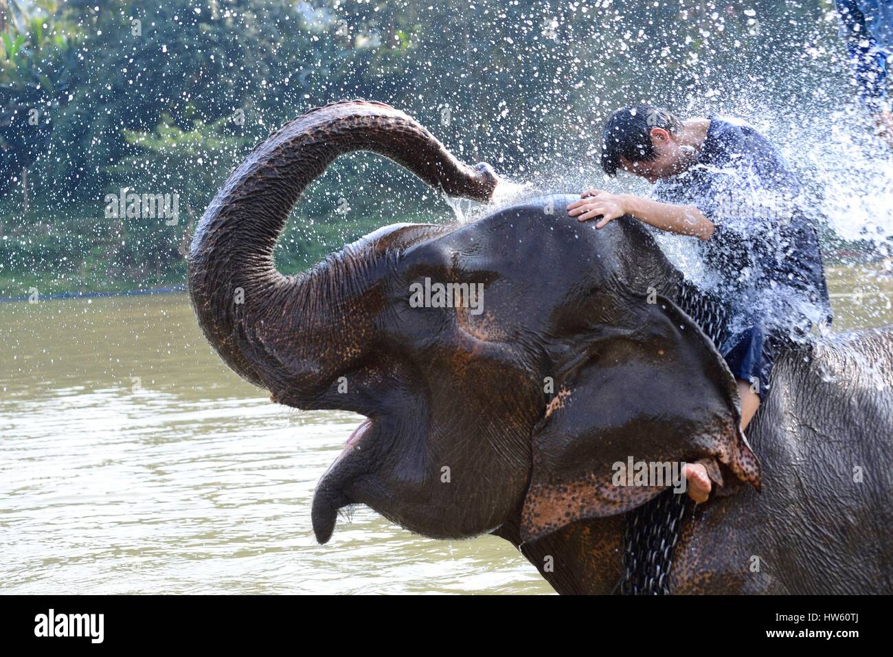 Laos, Luang Prabang province, Ban Xieng Lom, tourist complex dedicated ...