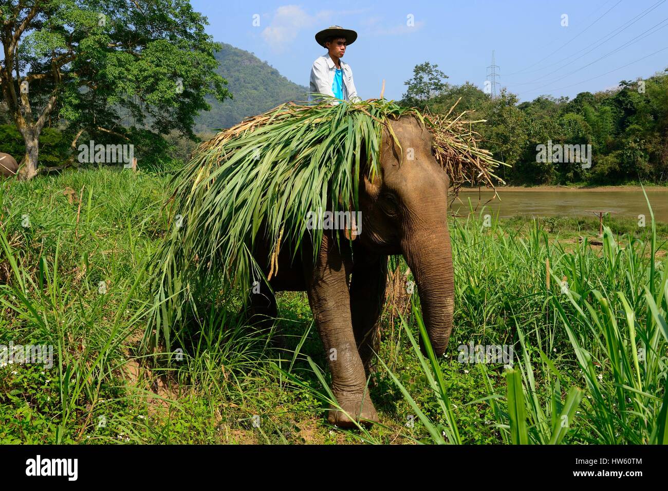 Laos, Luang Prabang province, Ban Xieng Lom, tourist complex dedicated ...