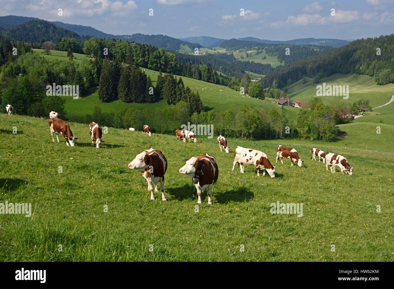 Morteau valley hi-res stock photography and images - Alamy