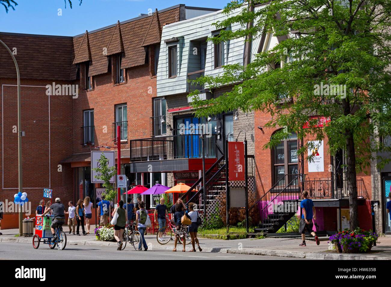 Canada, Quebec province, Montreal, the Plateau Mont Royal, St Denis ...