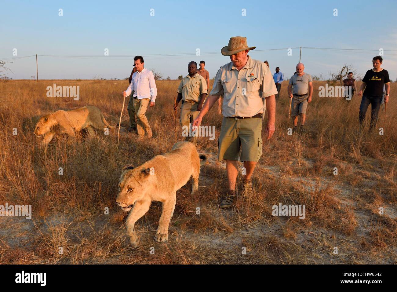 Gweru High Resolution Stock Photography and Images - Alamy