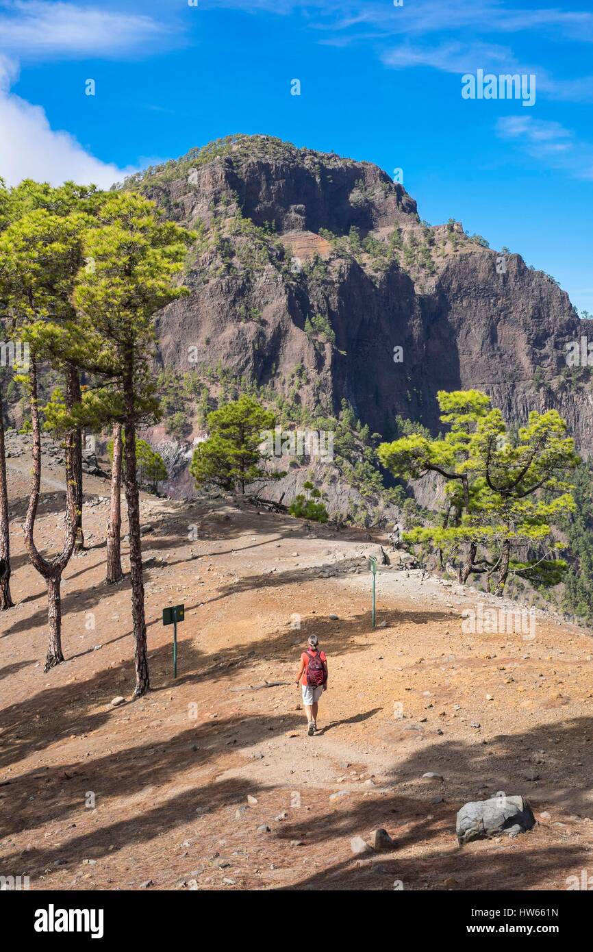 Spain Canary Islands La Palma island declared a Biosphere Reserve by ...