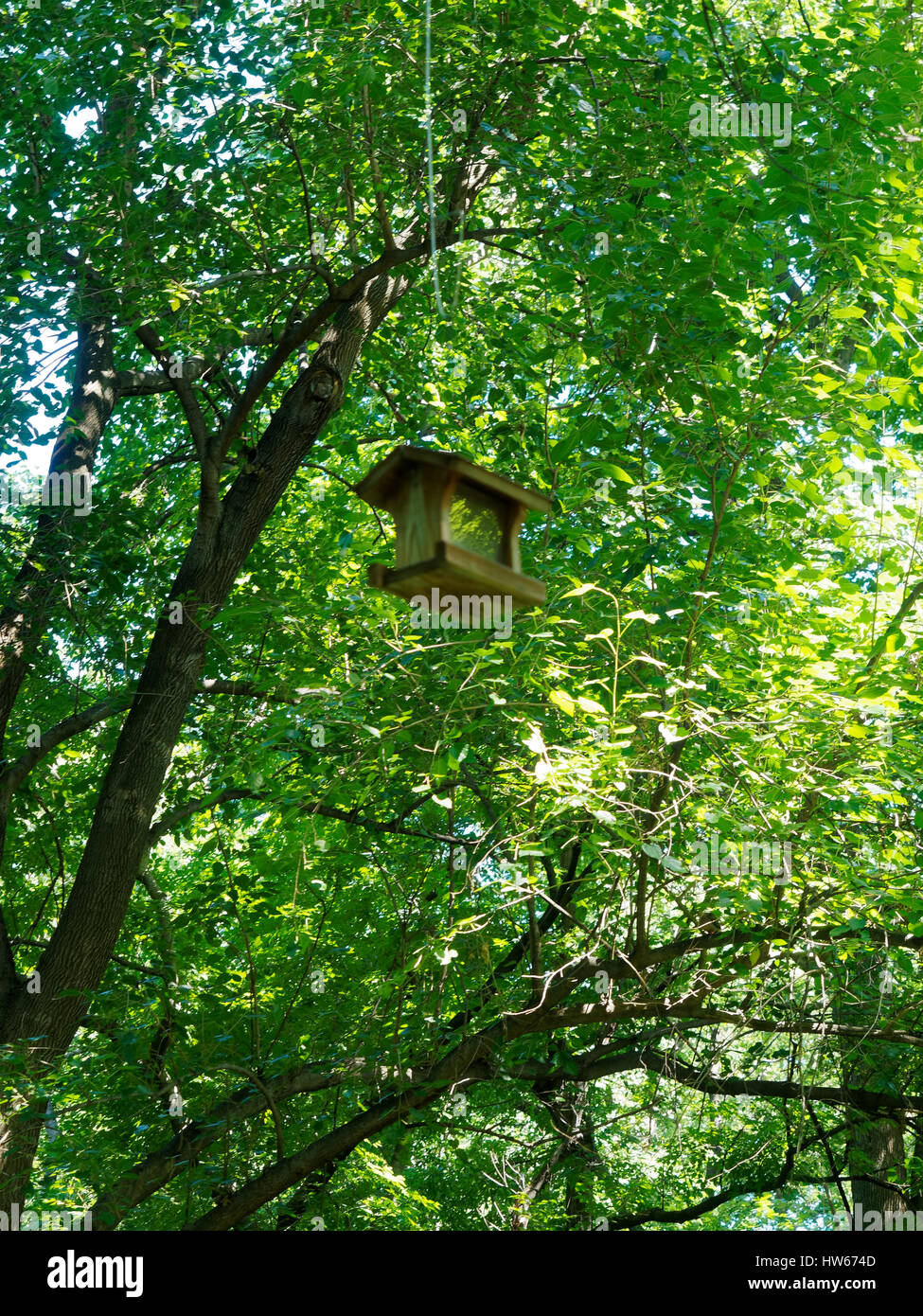 Bird house at Central Park - New York, USA Stock Photo - Alamy