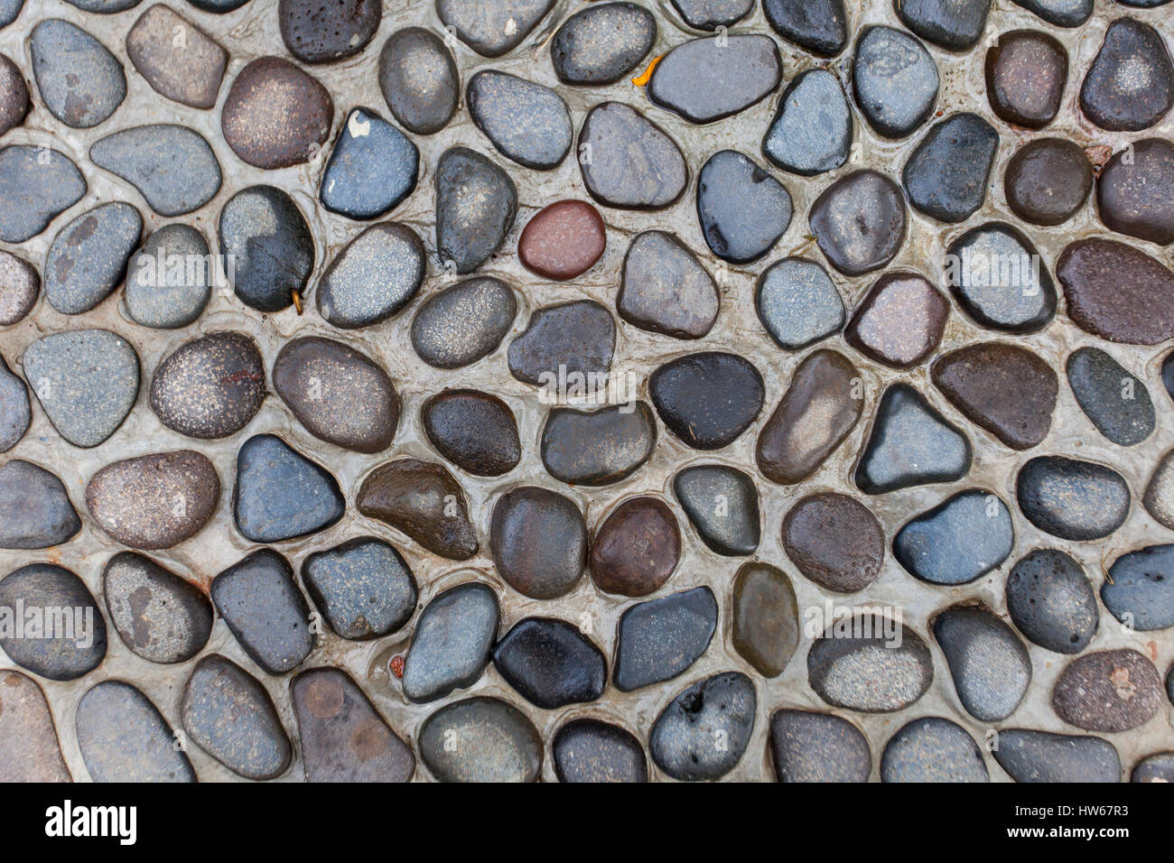 Pavement of round brilliant stones background after rain Stock Photo ...