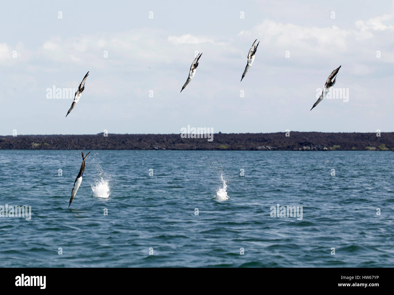 Plunge plunging hi-res stock photography and images - Alamy