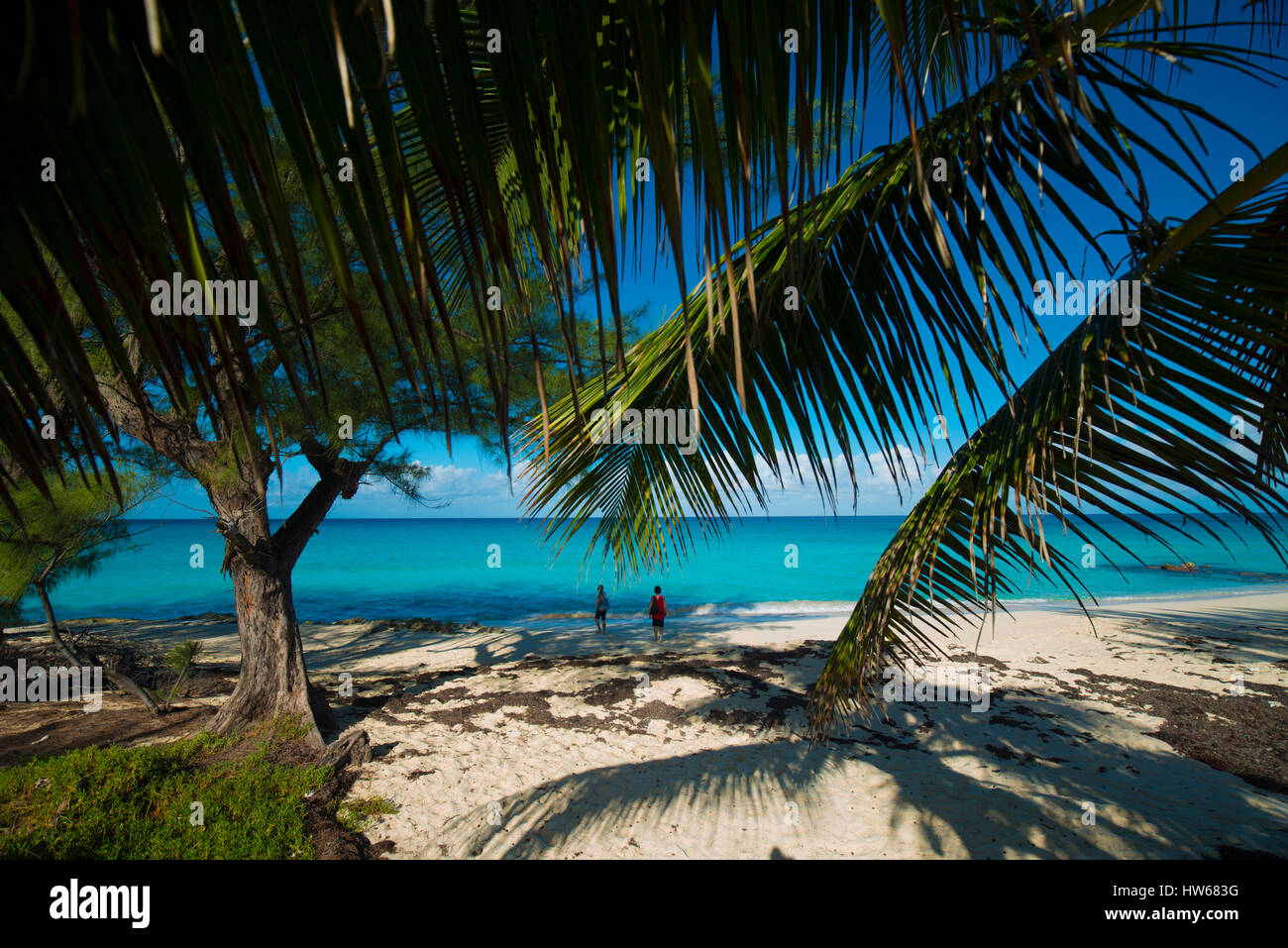 Bimini Beach through palm fawns Stock Photo - Alamy
